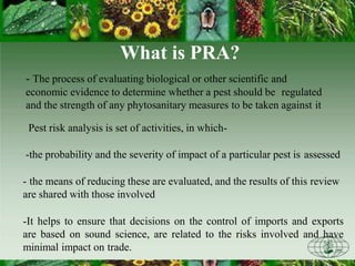 Lec. 5 pra rkp | PPTX | Agriculture | Industries