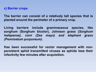 Lec. 8 rkp pidm_cultural methods | PPT