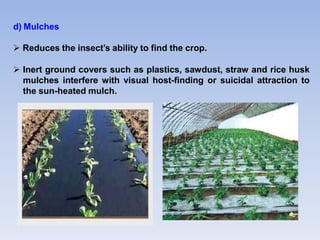 Lec. 8 rkp pidm_cultural methods | PPT