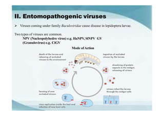 Lec. 10 rkp pidm_biological methods | PPTX
