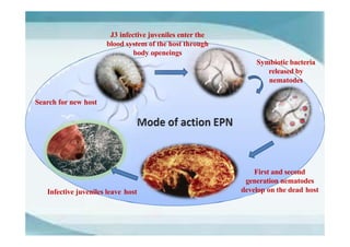 Lec. 10 rkp pidm_biological methods | PPTX