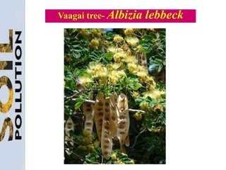 Prevention and mitigation of soil pollution | PDF