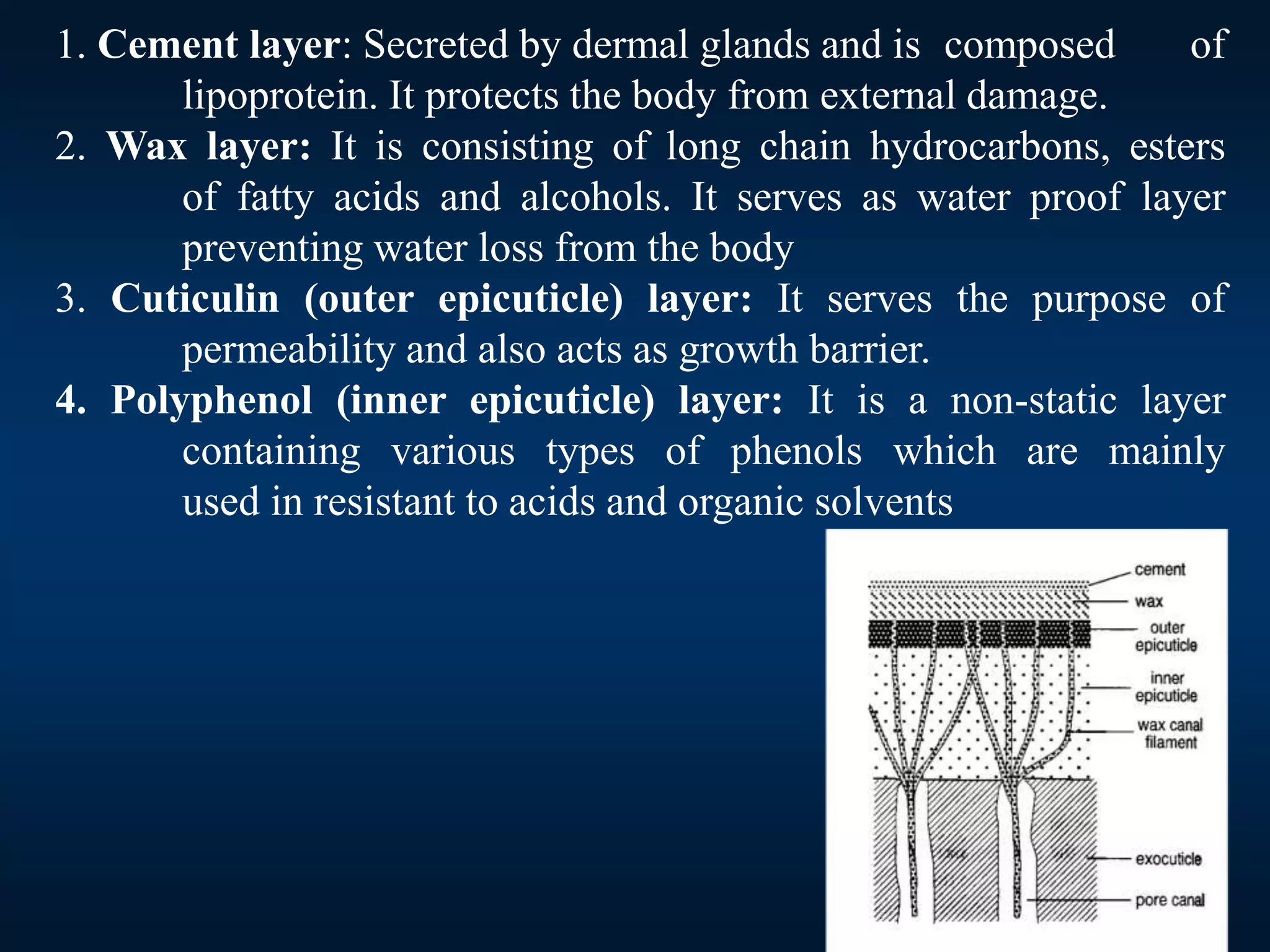 Lec. 5 insect cuticles.ppt