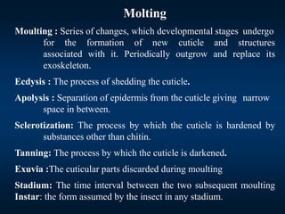 Lec. 5 insect cuticles.ppt