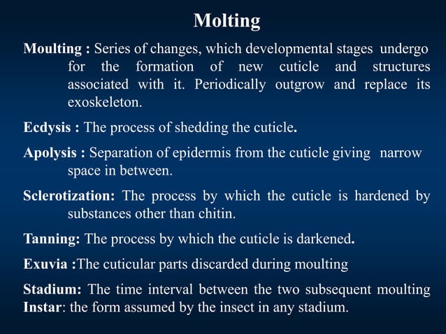 Lec. 5 insect cuticles.ppt