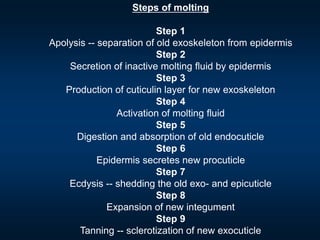 Lec. 5 insect cuticles.ppt