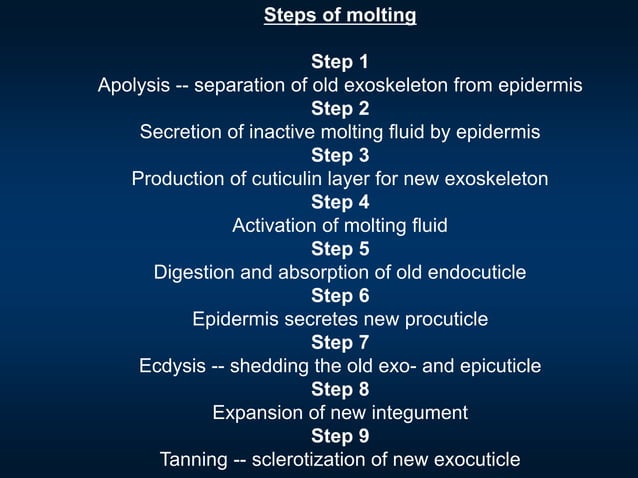 Lec. 5 insect cuticles.ppt