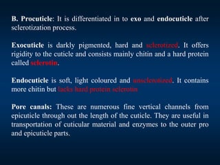 Lec. 5 insect cuticles.ppt
