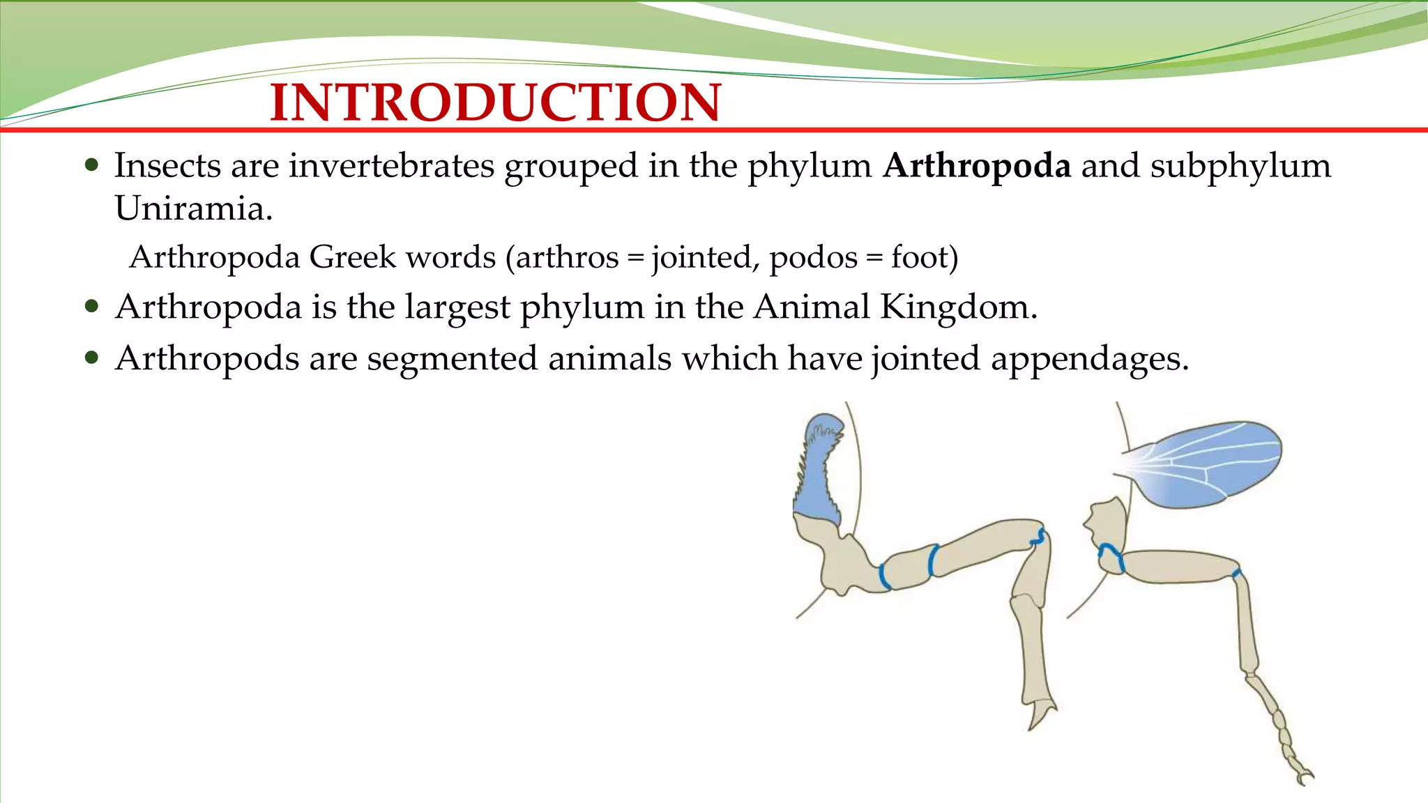 Lec. 3 classification of phylum.ppt