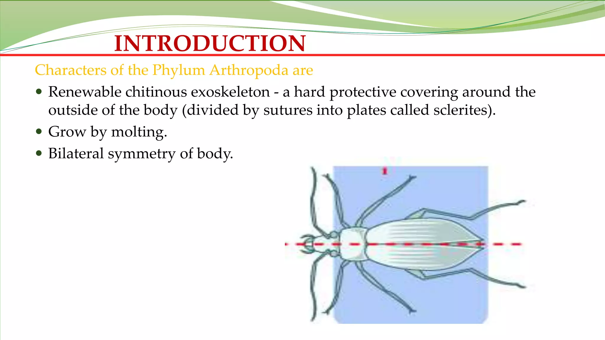Lec. 3 classification of phylum.ppt