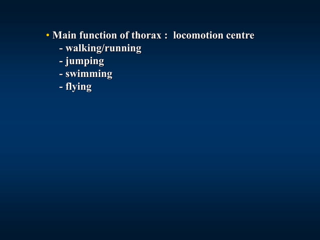 Lec. 7 Body segmentation Structure of thorax & abdomen.ppt | Biological ...