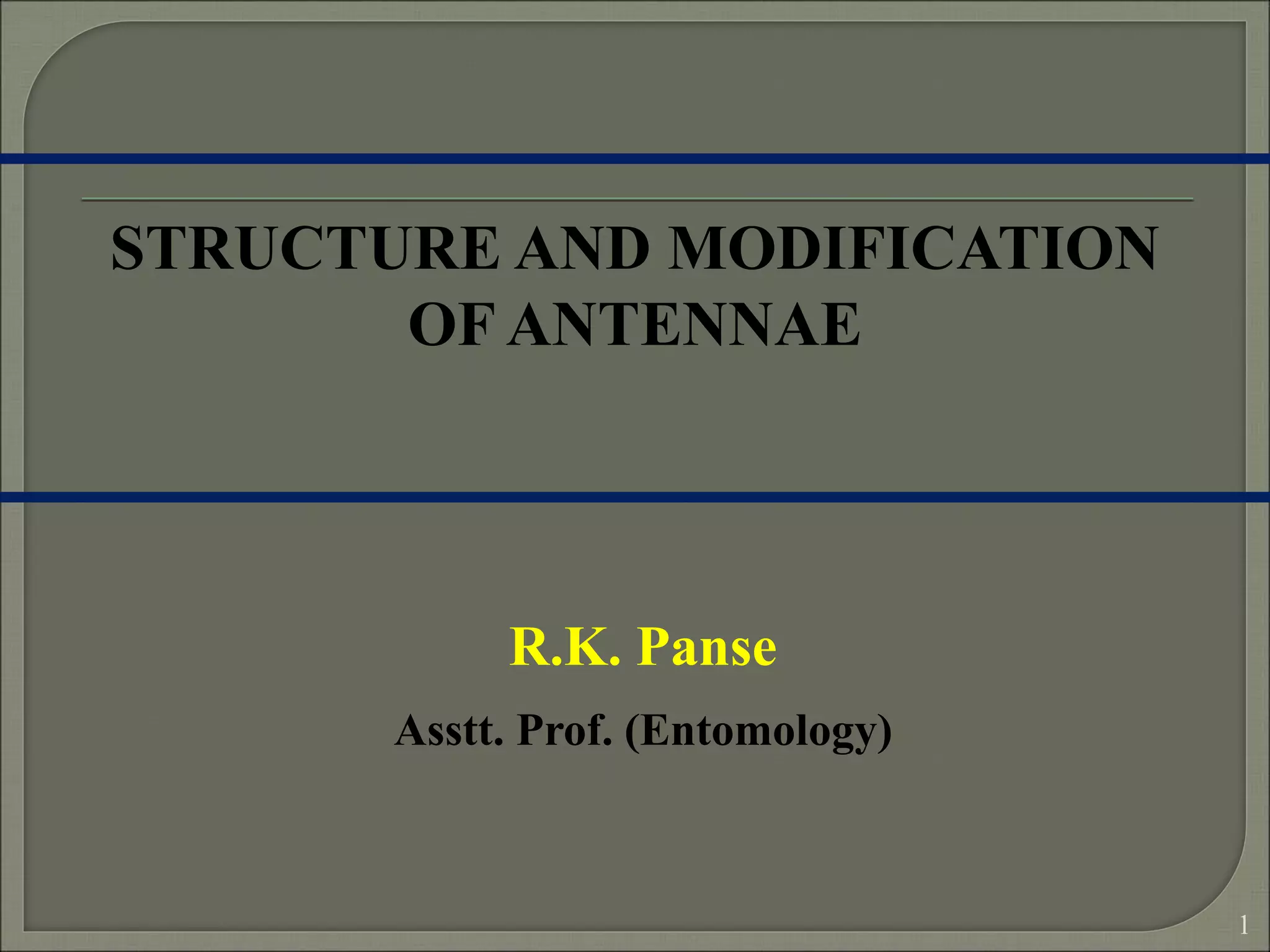 Lec. 8 Structure and modifications of insect antennae.ppt