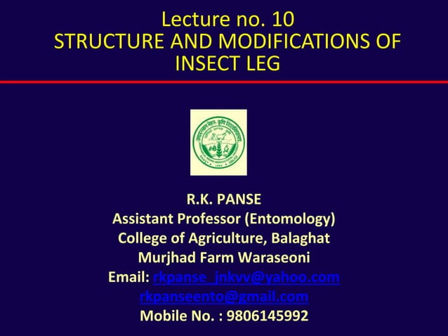 Lec. 10 Structure and modifications of insect legs.ppt | Beekeeping ...