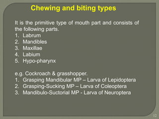 Lec. 9 Structure and modifications of mouth parts.ppt