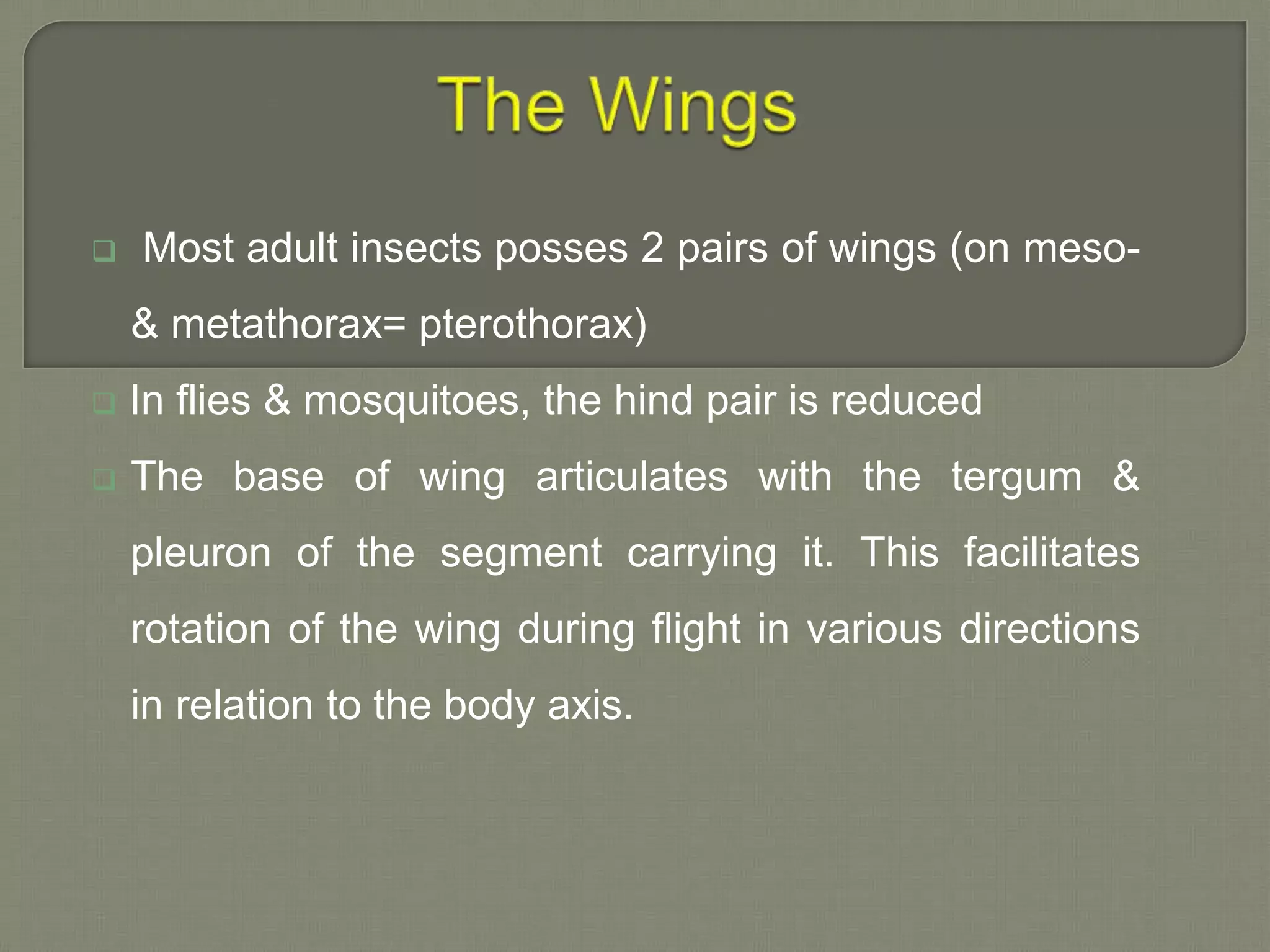 Lec. 11&12 Wing venation modification and coupling apparatus.ppt