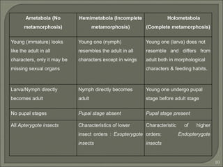 Lec. 14 Metamrphsis and types, diapause in insect.ppt