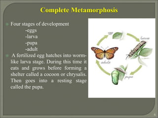 Lec. 14 Metamrphsis and types, diapause in insect.ppt