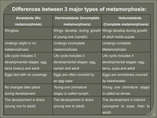 Lec. 14 Metamrphsis and types, diapause in insect.ppt