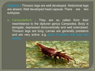 Lec. 15 Types of larvae and Pupa.ppt