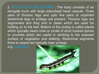 Lec. 15 Types of larvae and Pupa.ppt