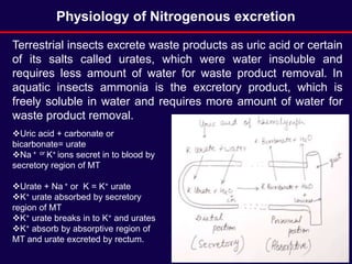 Lec. 17 Structure and functions of excretory system in insects.ppt
