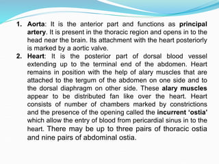 Lec. 18 Circulatory system.ppt