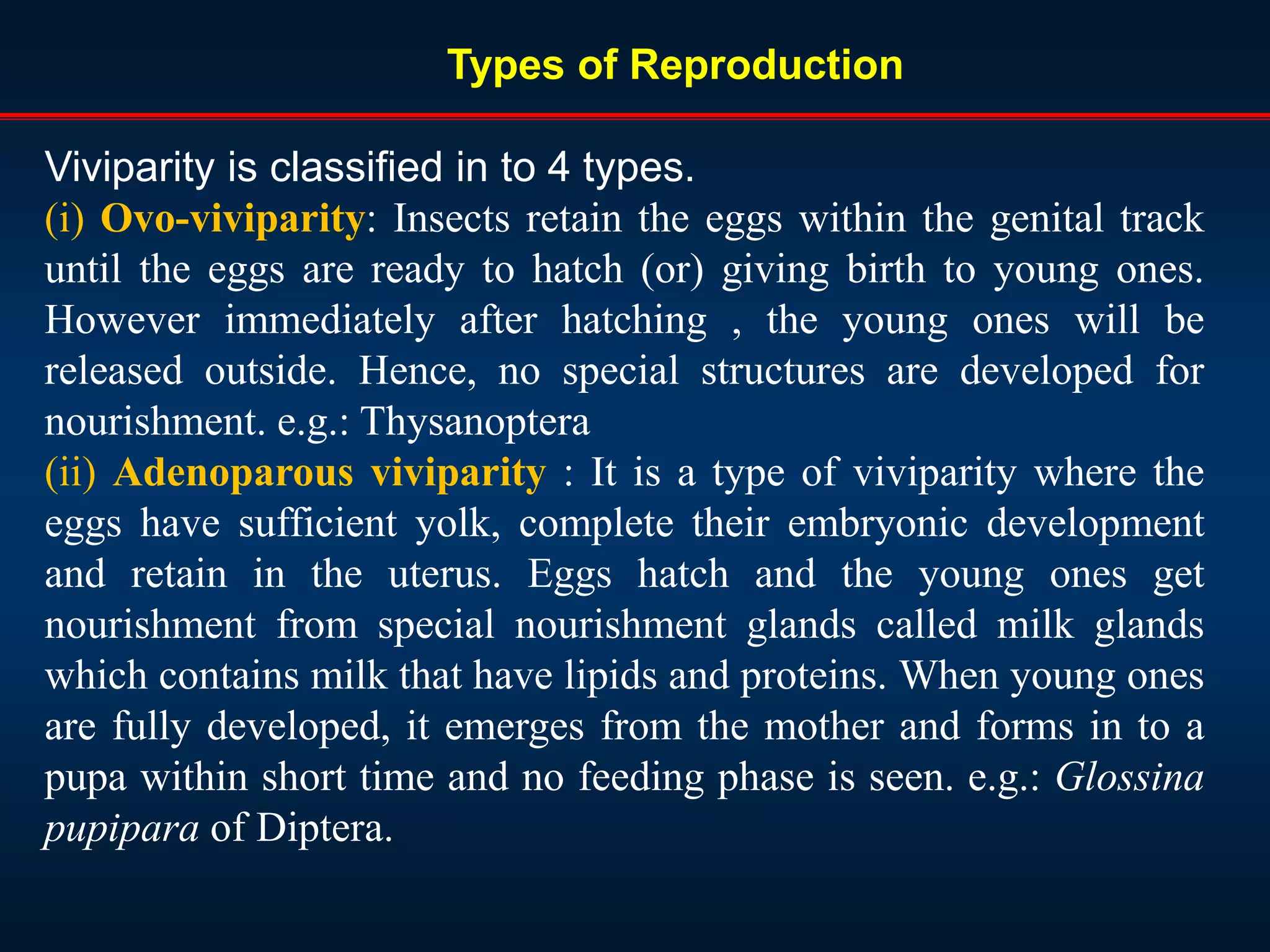 Lec. 23 Types of reproduction in insects.ppt