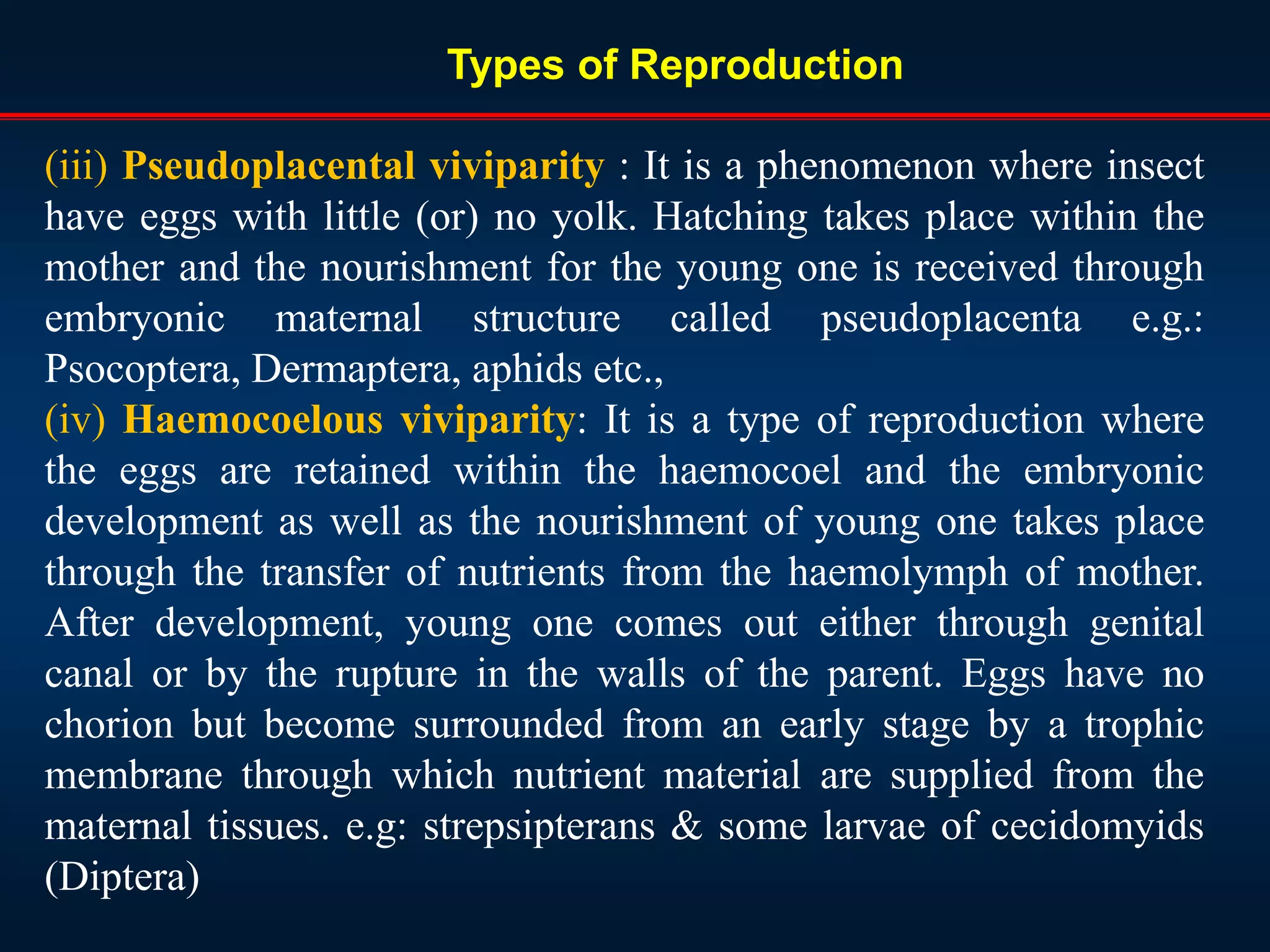 Lec. 23 Types of reproduction in insects.ppt