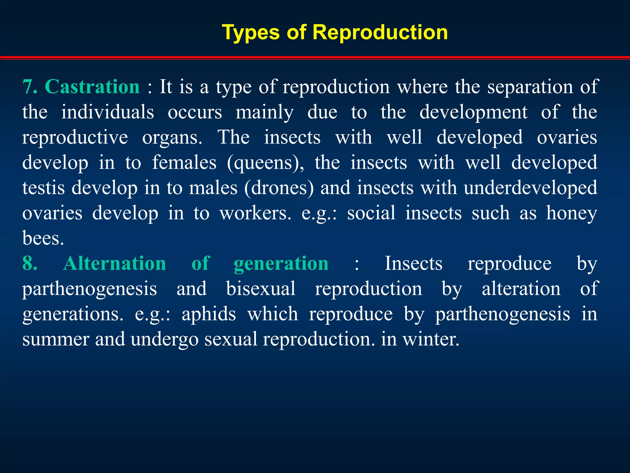 Lec. 23 Types of reproduction in insects.ppt