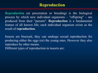Lec. 23 Types of reproduction in insects.ppt