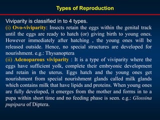 Lec. 23 Types of reproduction in insects.ppt