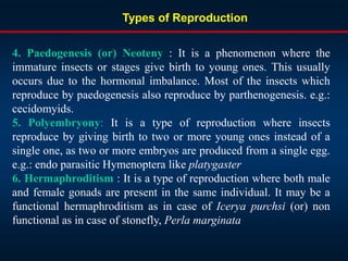 Lec. 23 Types of reproduction in insects.ppt