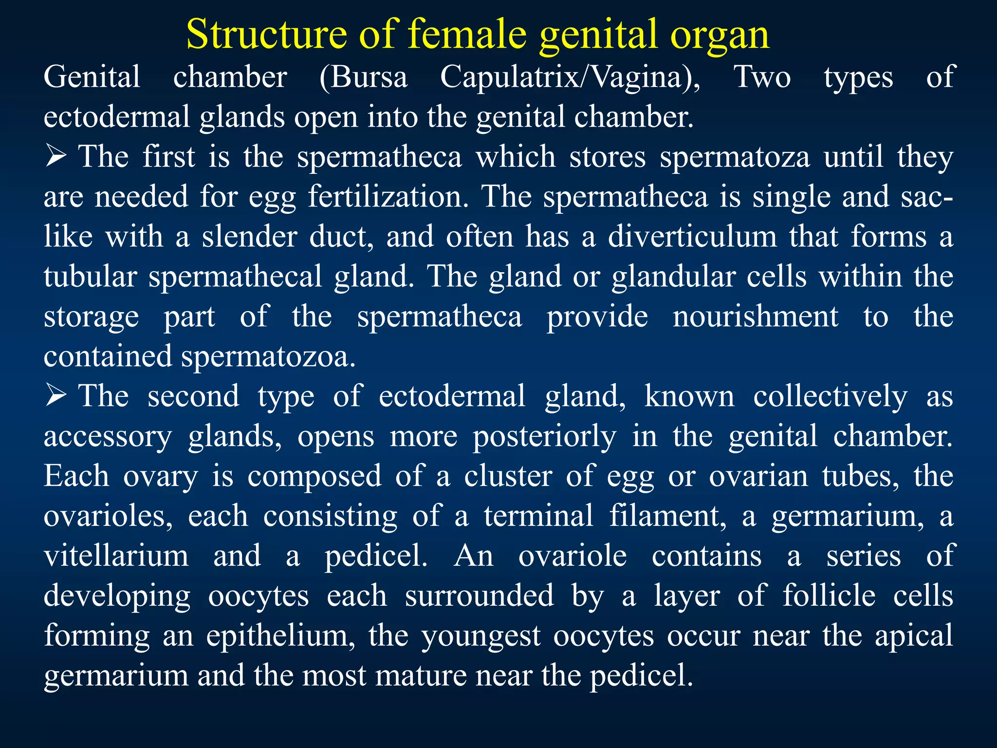 Lec. 22&13 Structure and functions of male and female reproductive ...