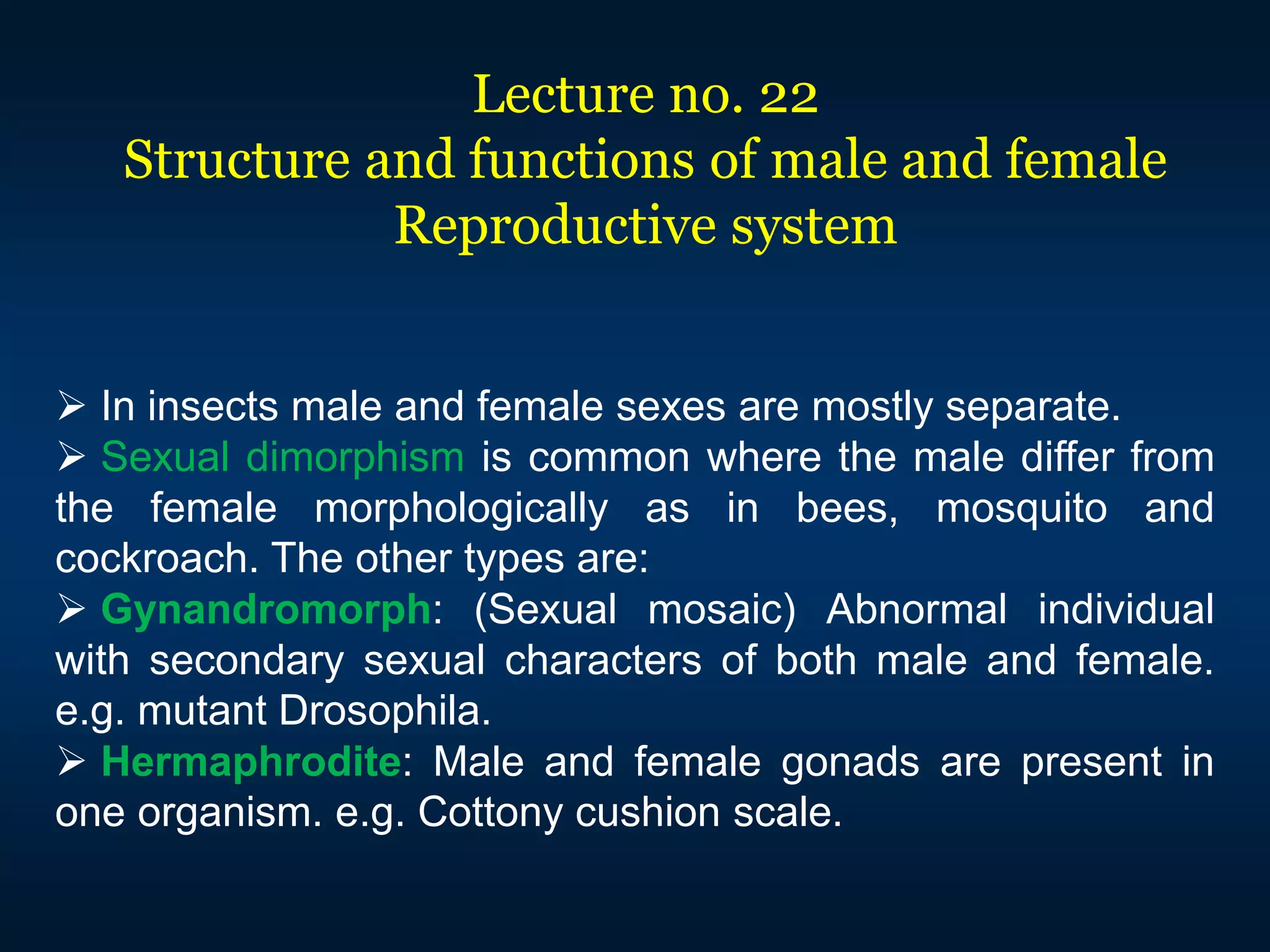 Lec. 22&13 Structure and functions of male and female reproductive ...