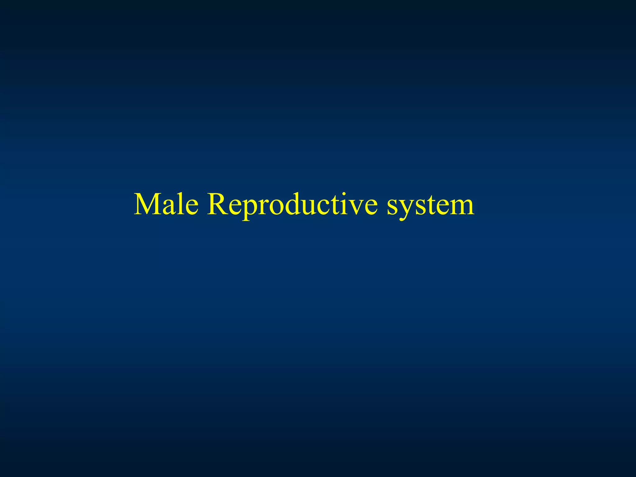 Lec. 22&13 Structure and functions of male and female reproductive ...