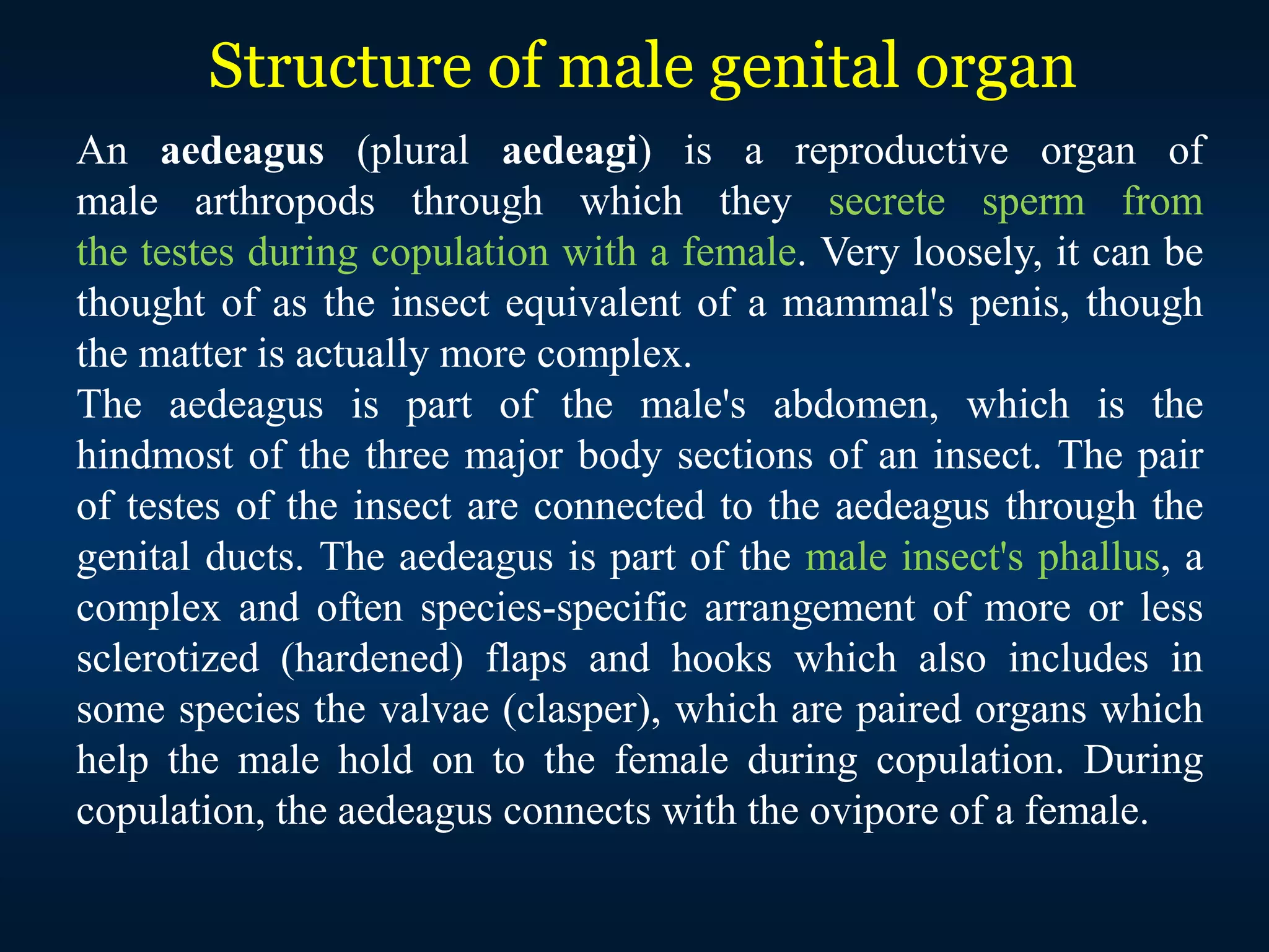 Lec. 22&13 Structure and functions of male and female reproductive ...