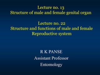 Lec. 22&13 Structure and functions of male and female reproductive ...