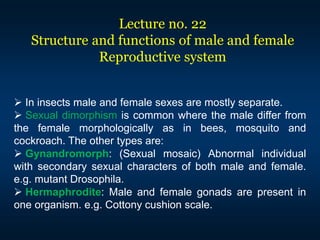 Lec. 22&13 Structure and functions of male and female reproductive ...
