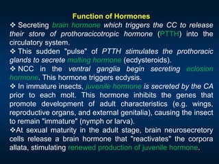Lec. 21 Structure and functions of secretary(Endocrine) system in ...
