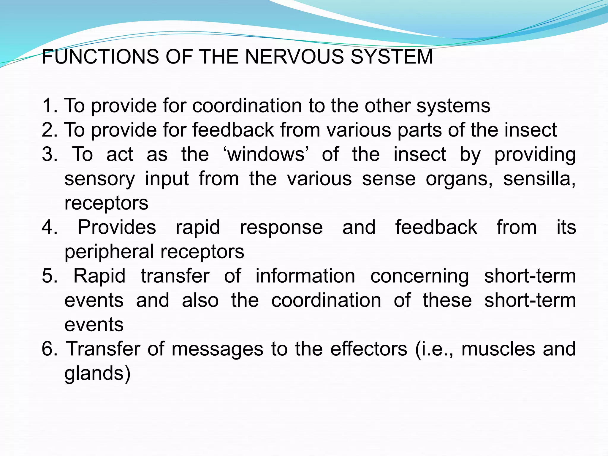 Lec. 20 nervous system.ppt
