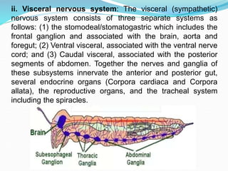 Lec. 20 nervous system.ppt