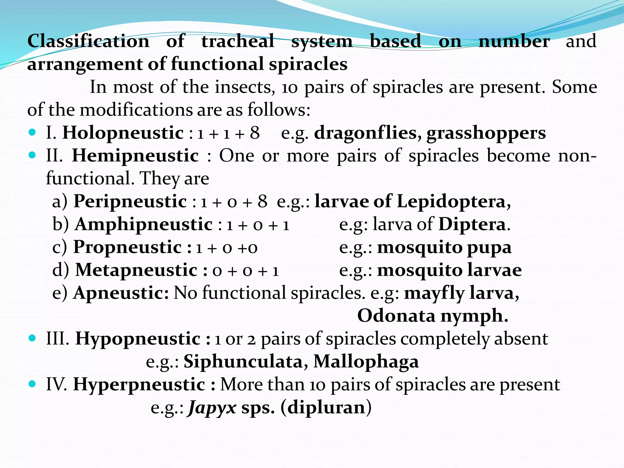 Lec. 19 respiretory system.ppt