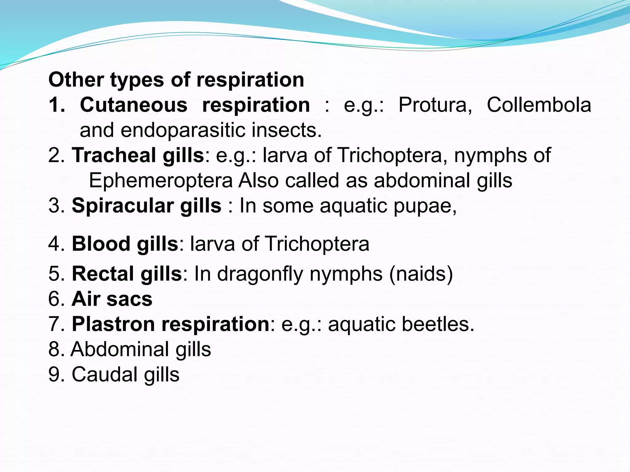 Lec. 19 respiretory system.ppt