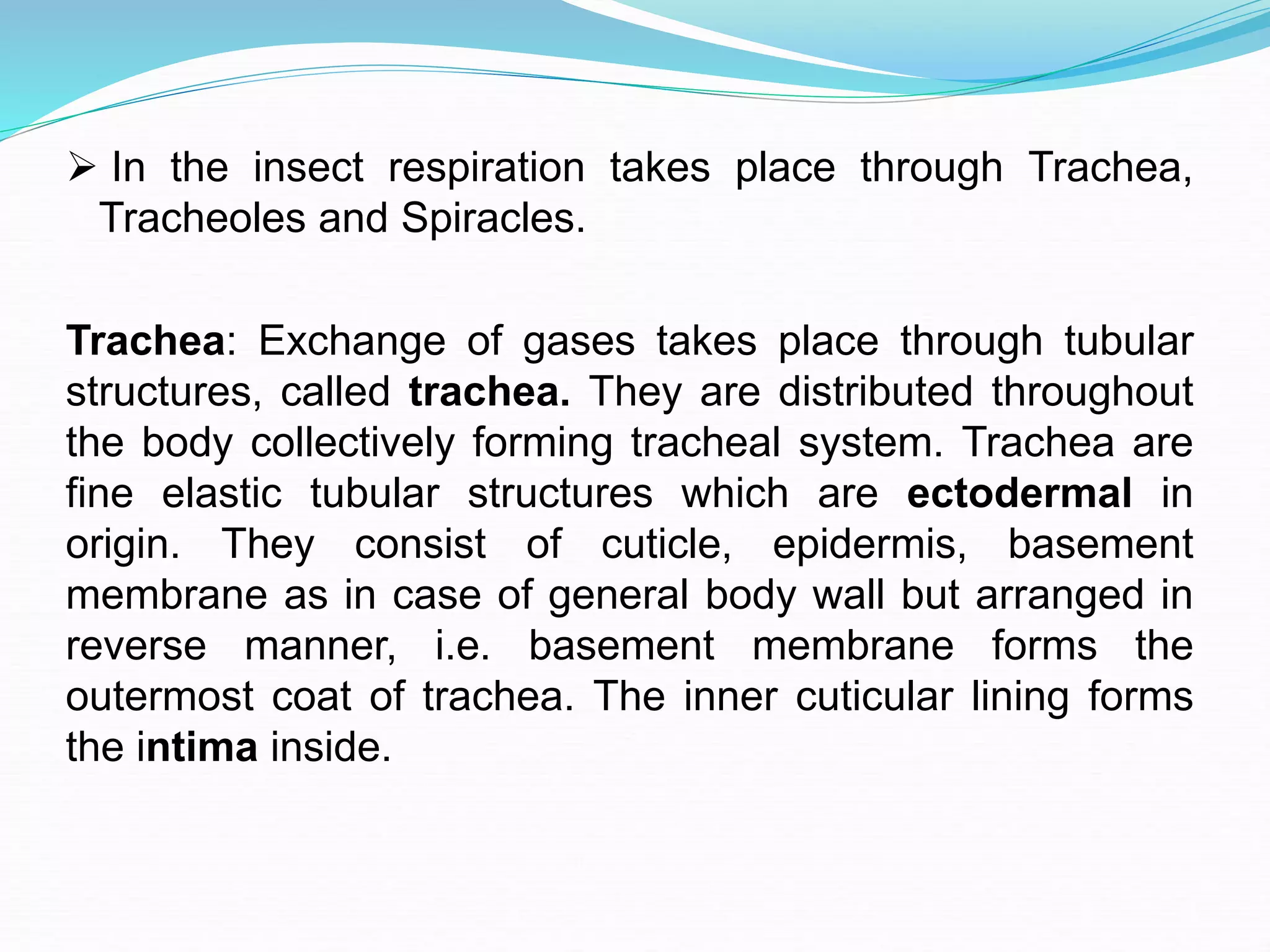 Lec. 19 respiretory system.ppt