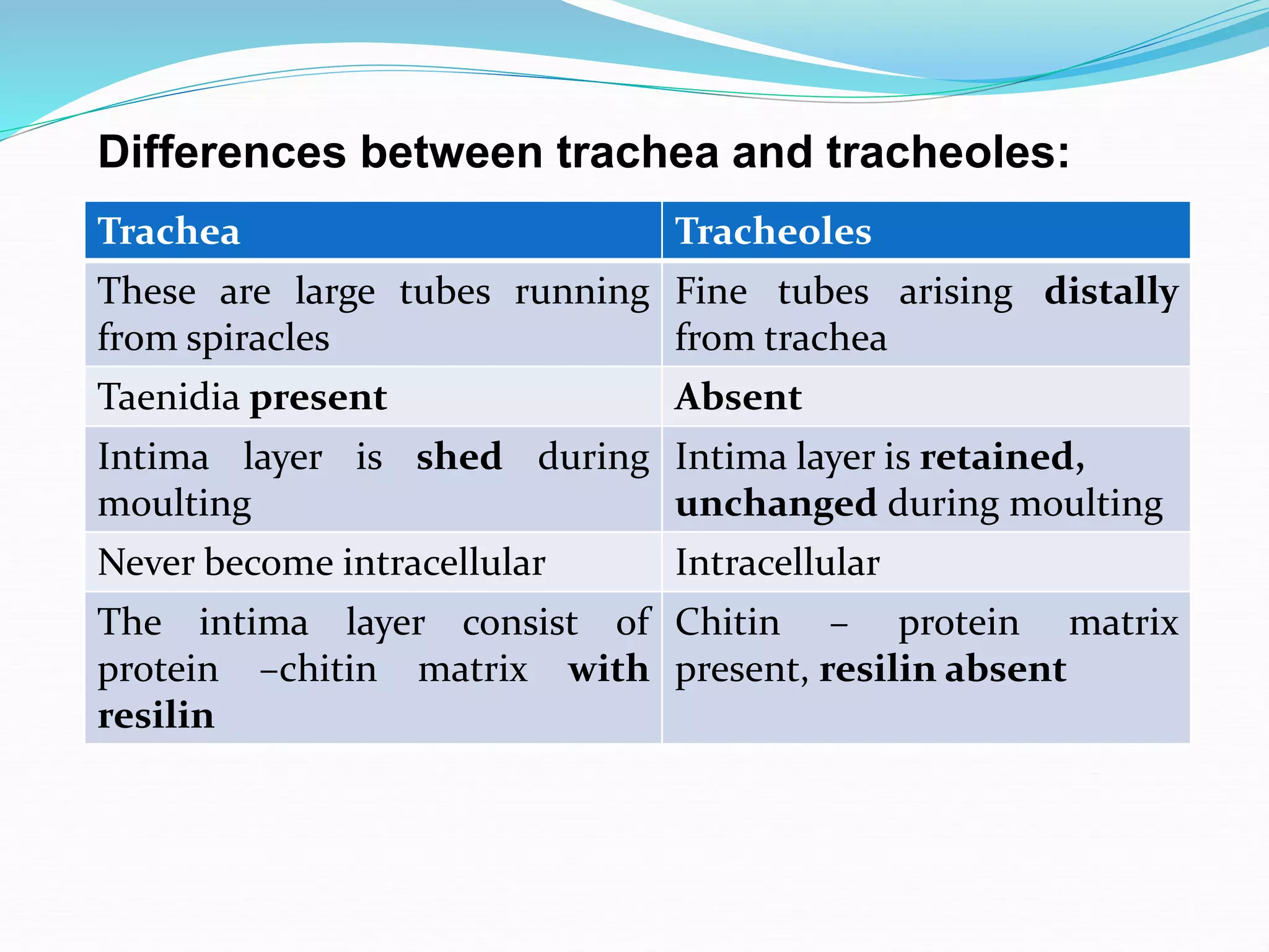 Lec. 19 respiretory system.ppt
