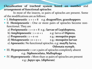 Lec. 19 respiretory system.ppt