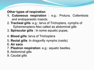 Lec. 19 respiretory system.ppt