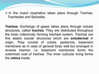 Lec. 19 respiretory system.ppt