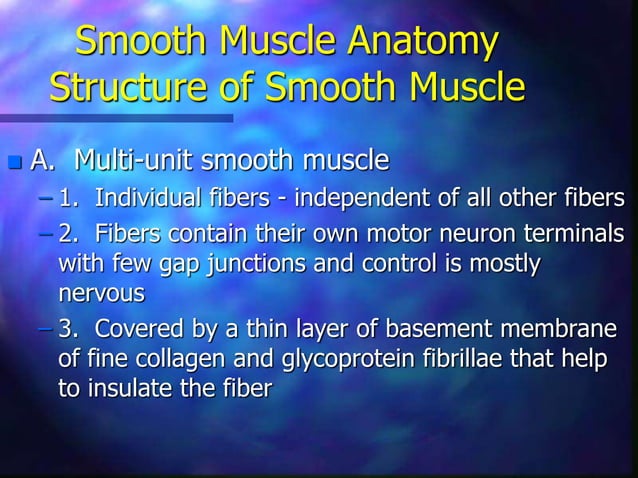 Lec. 21new - Smooth Muscle Anatomy.ppt | Biological Sciences | Science