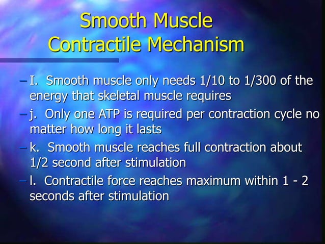 Lec. 21new - Smooth Muscle Anatomy.ppt | Biological Sciences | Science